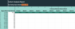 Cohort Analysis: Actionable Steps To Increasing Customer Retention